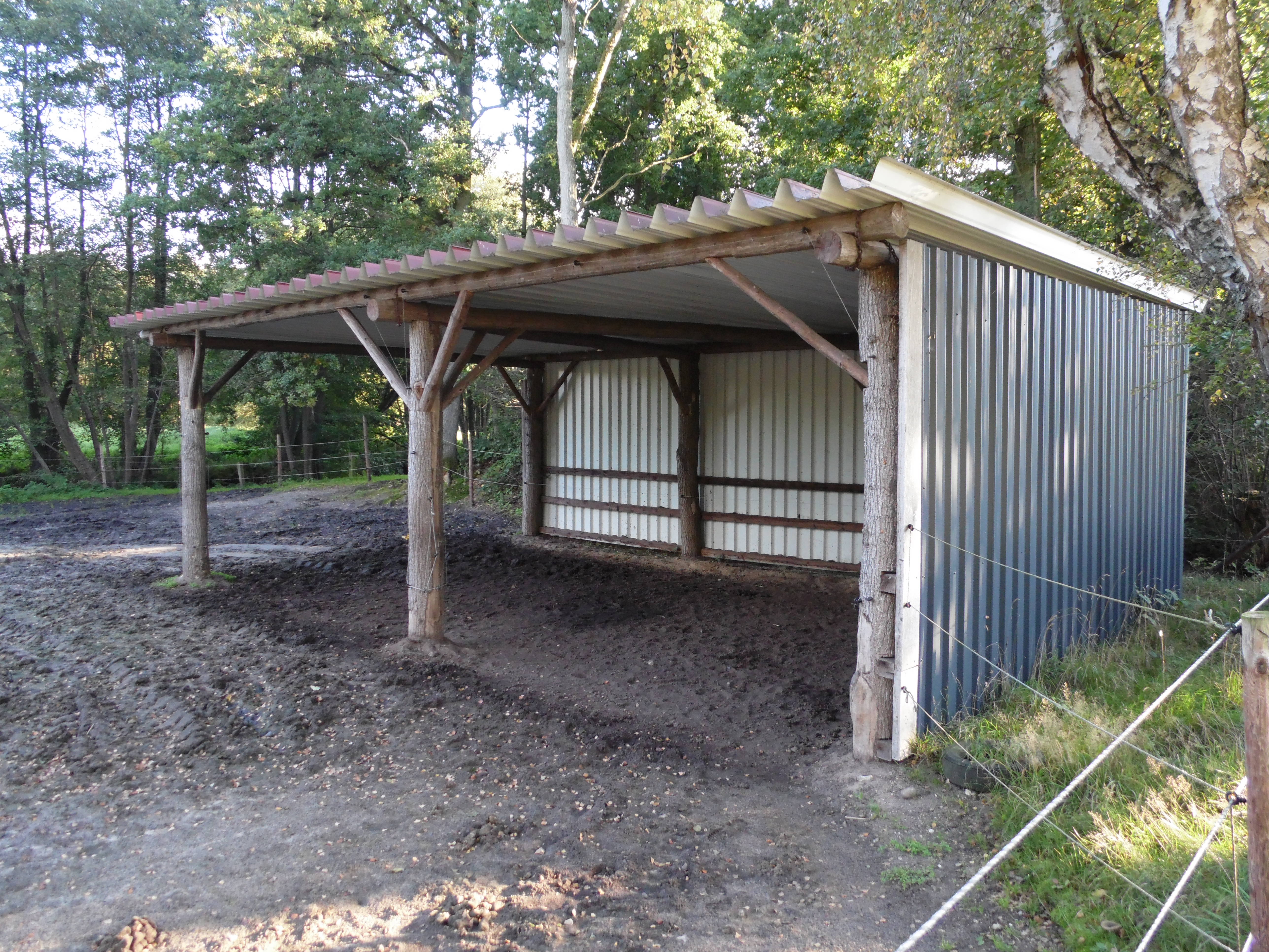 Mehr Wertschöpfung mit meinem Stammholz -Kleiner LIGNA-Führer für ...